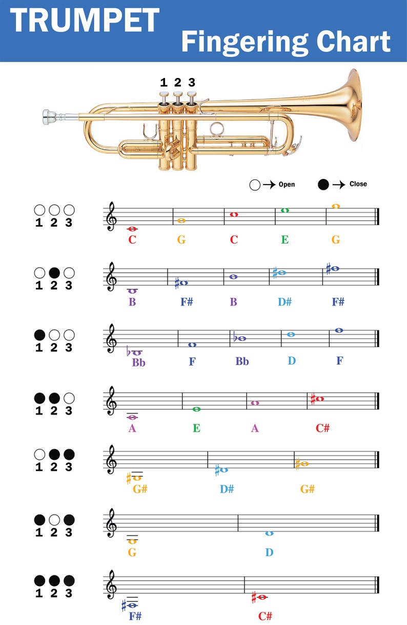 Trumpet Fingering Chart With Color-coded Notes, Learn Trumpet Technique ...