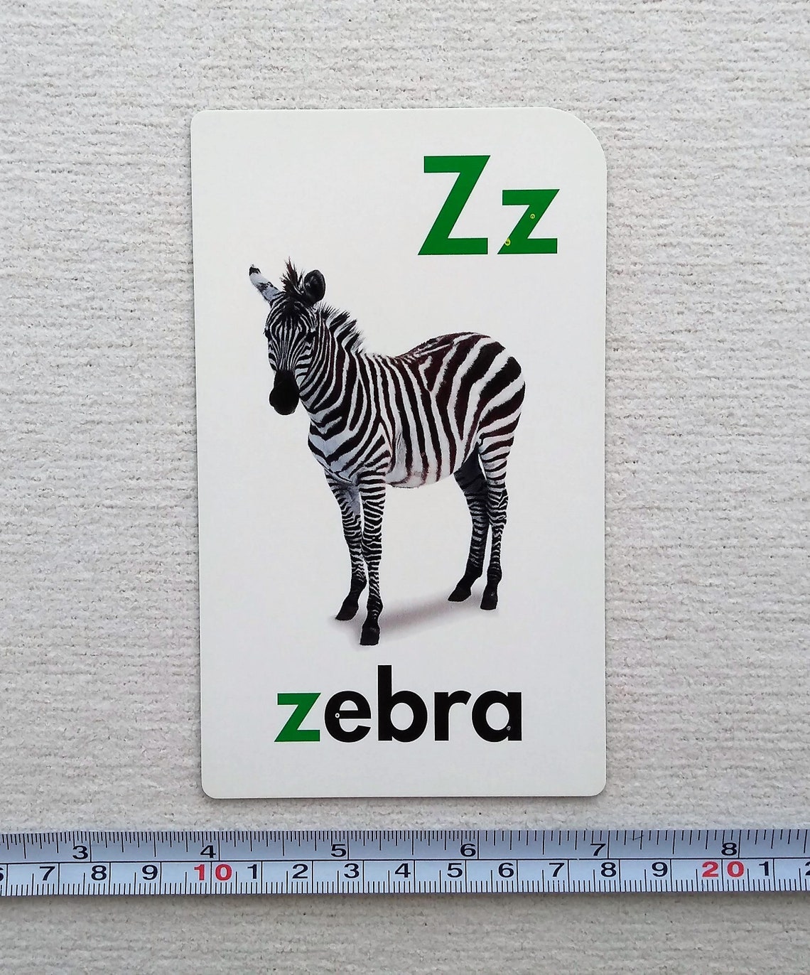 ZEBRA Stripe Greeting Card Postcard Flashcards Flash Cards | Etsy