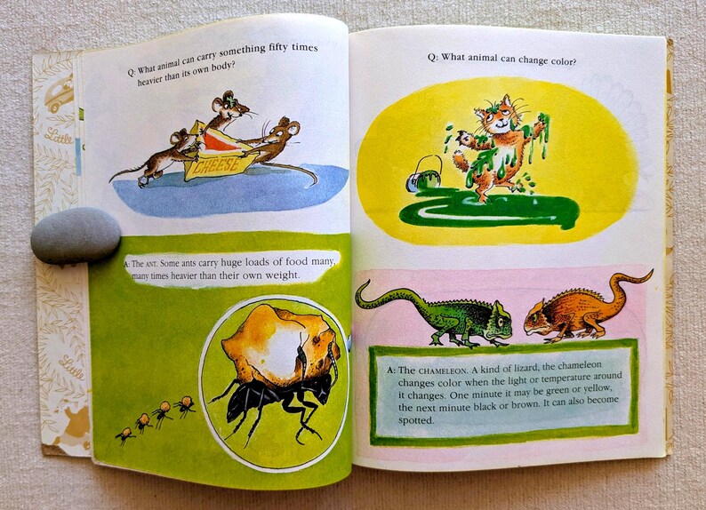 Vintage ANIMAL QUIZ BOOK Little Golden Book 1983 | Edith T. Kunhardt ...
