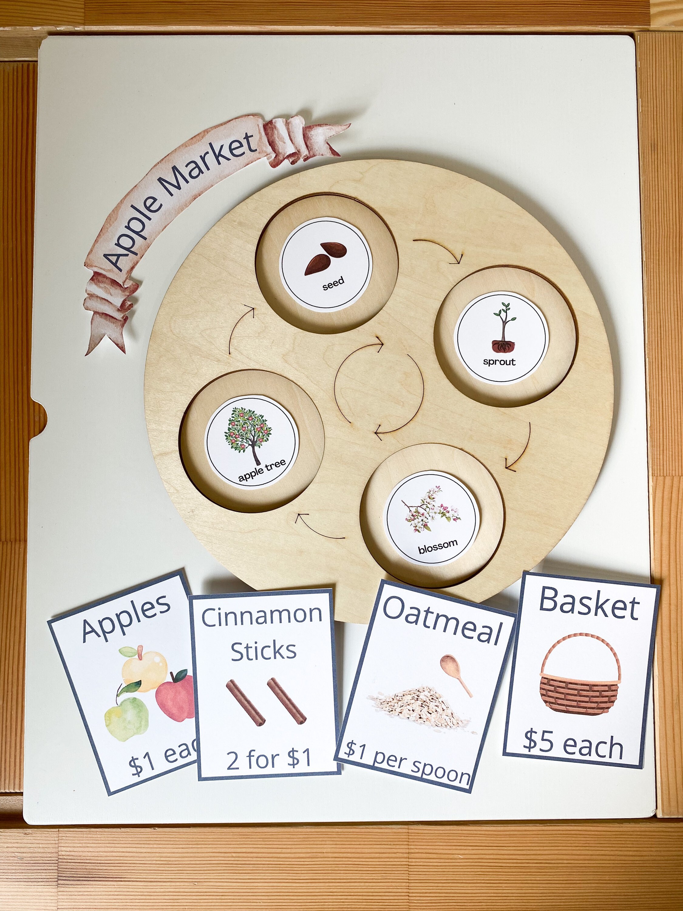 Wooden Life Cycle Sorting Board - Etsy