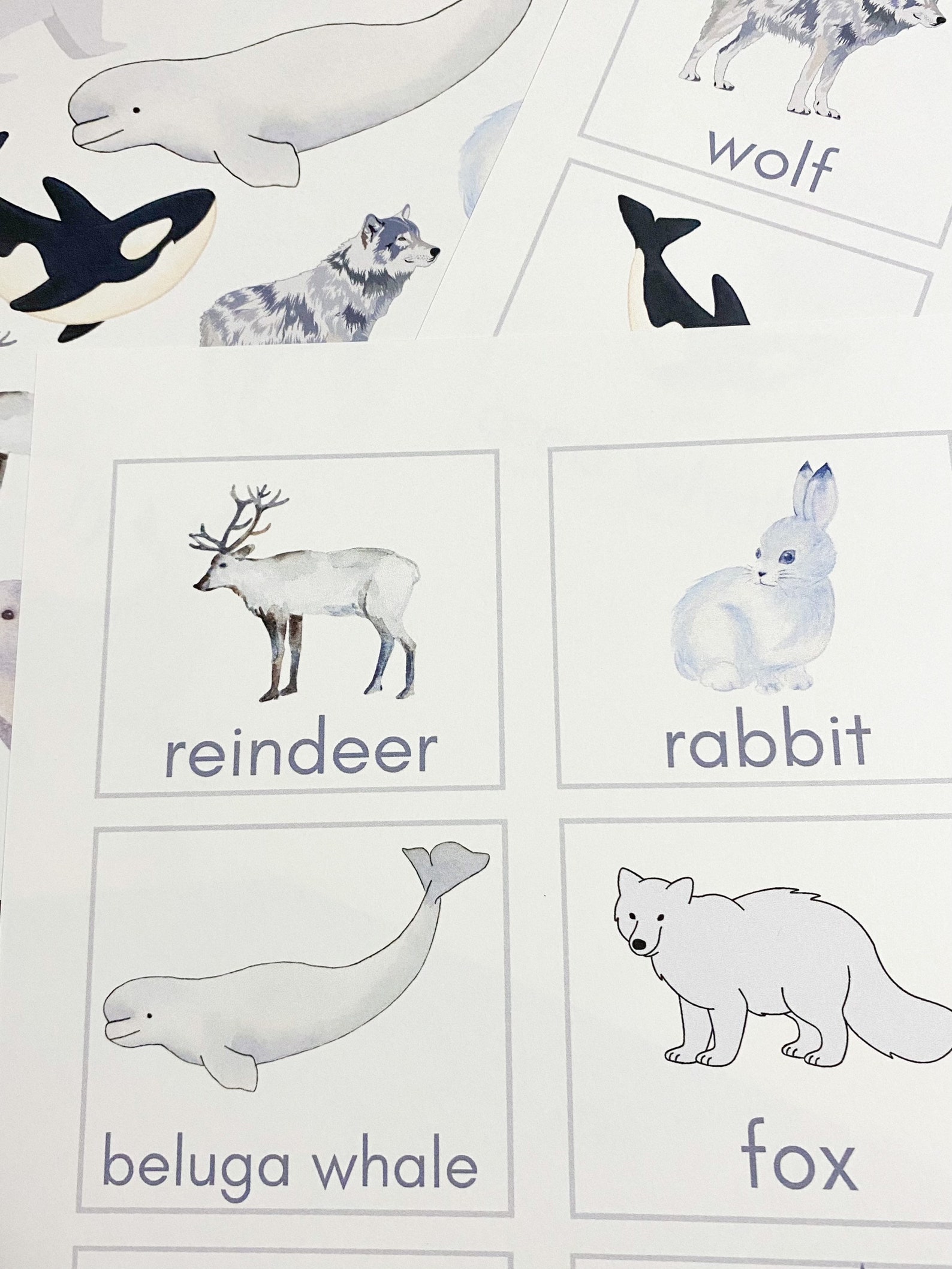 Arctic Animals Printable Set Winter Printable Arctic Animals Math ...