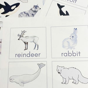 Arctic Animals Printable Set - Winter Printable - Arctic Animals Math ...