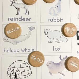 Arctic Animals Printable Set - Winter Printable - Arctic Animals Math ...