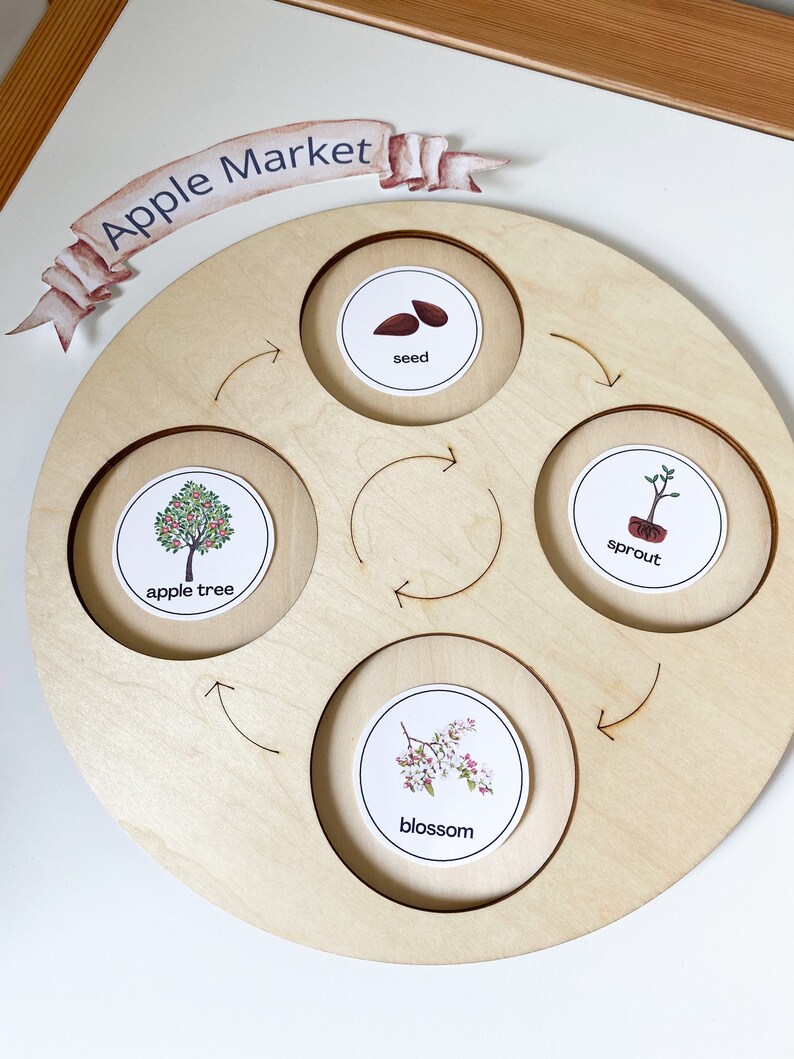 Wooden Life Cycle Sorting Board - Etsy