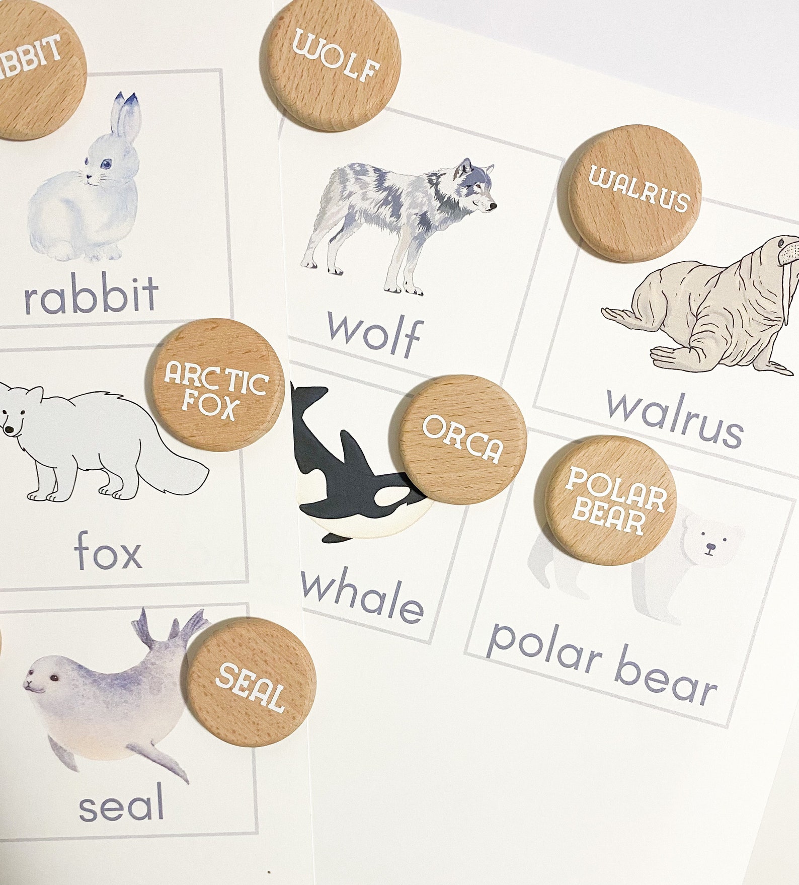 Arctic Animals Printable Set Winter Printable Arctic Animals Math ...
