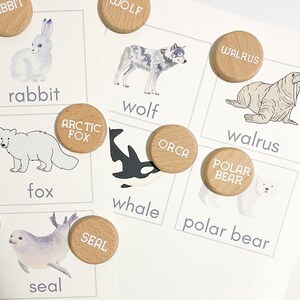 Arctic Animals Printable Set - Winter Printable - Arctic Animals Math ...