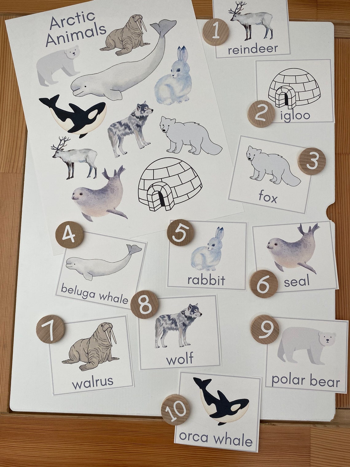 Arctic Animals Sensory Kit Learning Activity Math and - Etsy