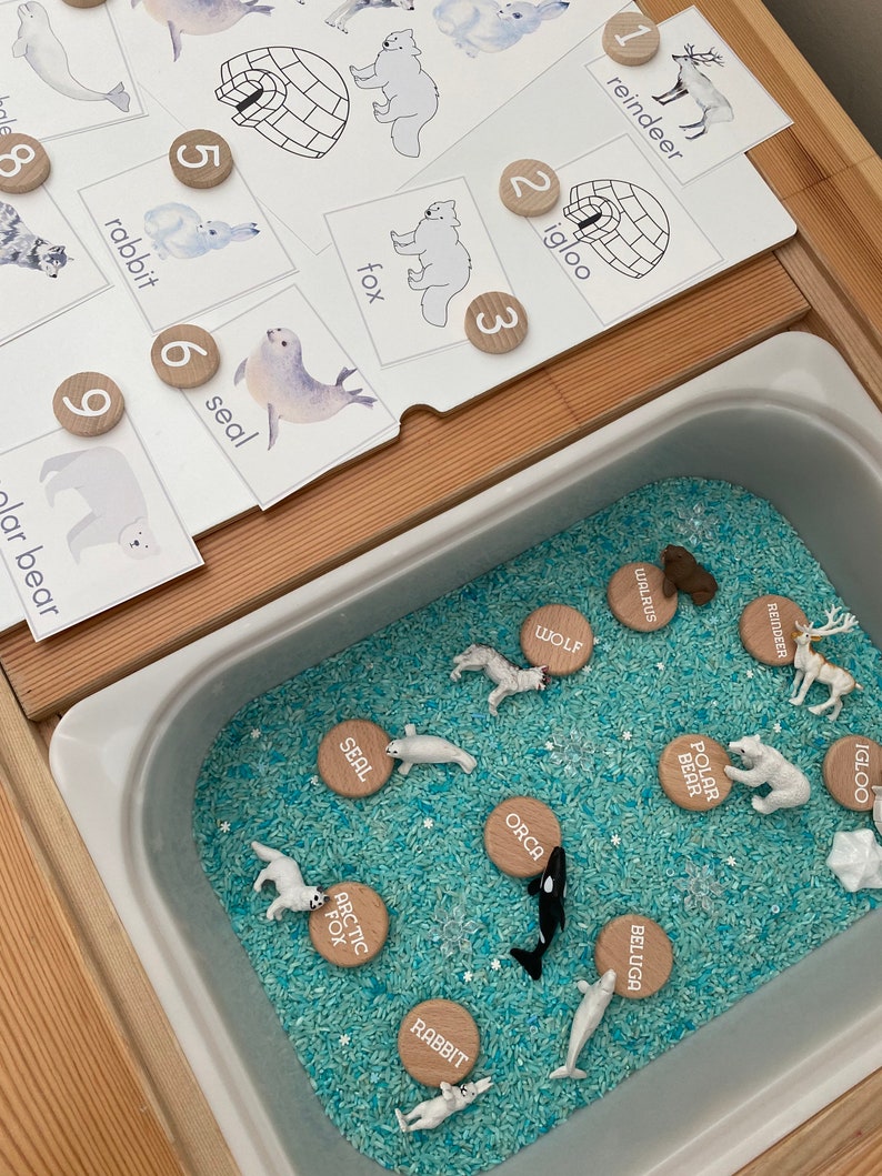 Arctic Animals Sensory Kit Learning Activity Math and - Etsy