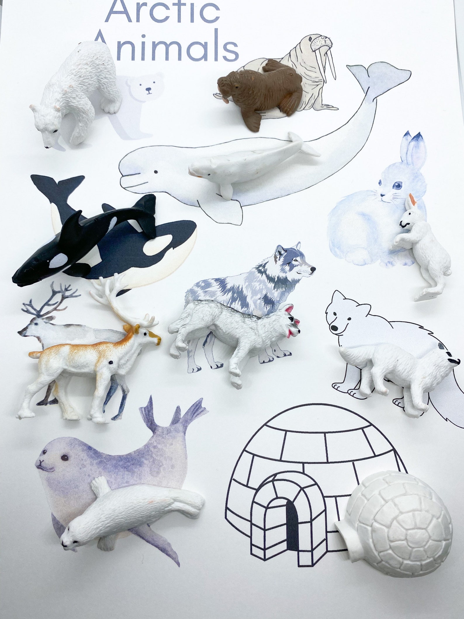 Arctic Animals Printable Set Winter Printable Arctic Animals Math ...