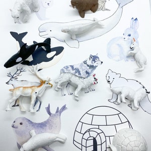 Arctic Animals Printable Set - Winter Printable - Arctic Animals Math ...