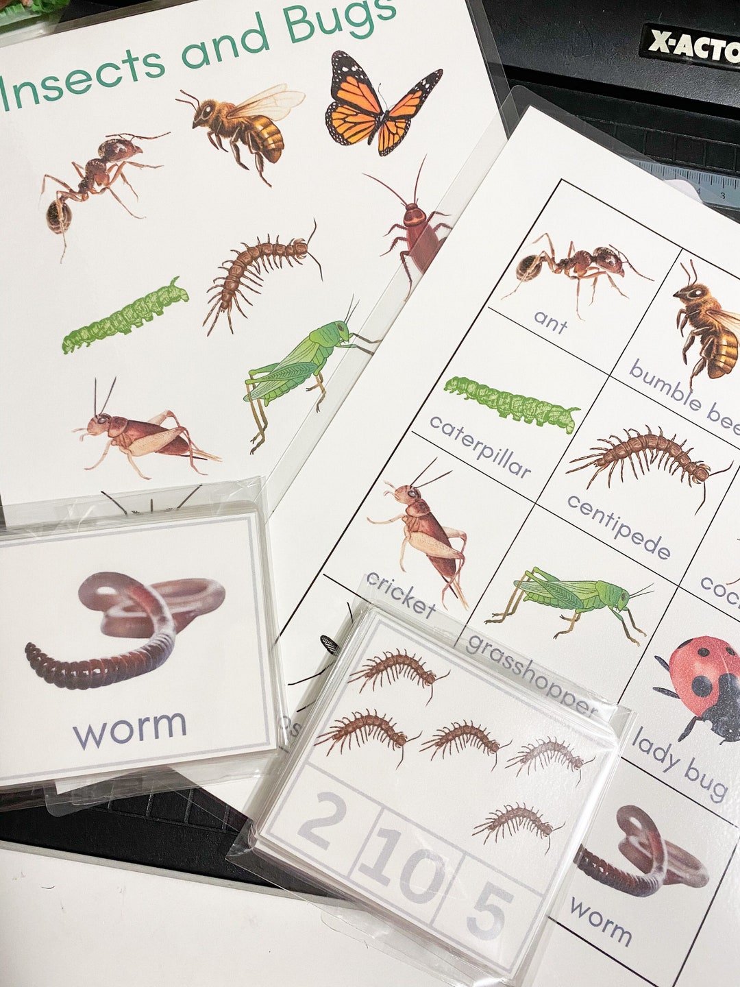 Insect Count & Clip Cards - Insect/bugs Flashcards - Bugs/insect Bundle ...