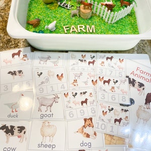 Farm Animals Sensory Kit Learning Activity Math and Literacy Farm ...