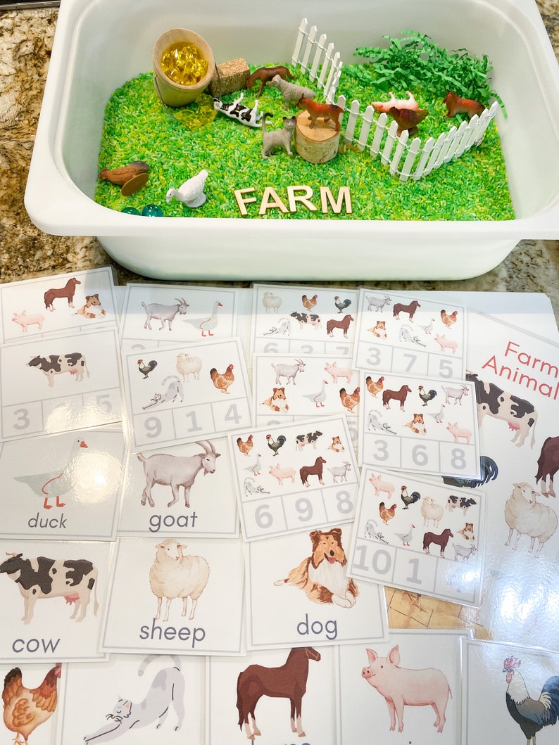 Farm Animals Sensory Kit Learning Activity Math and - Etsy