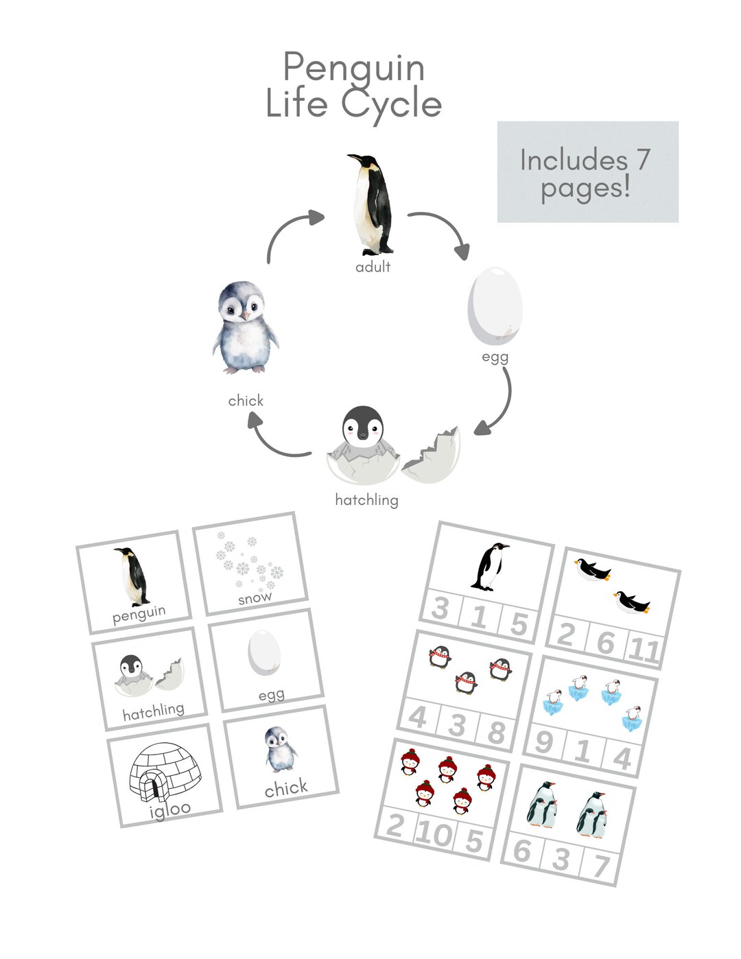 Penguin Printable Set - Winter Printable - Penguin Math & Life Cycle ...