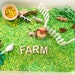 Farm Animals Sensory Kit Learning Activity Math and Literacy Farm ...