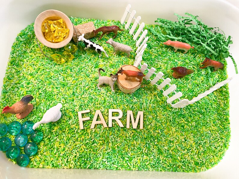 Farm Animals Sensory Kit Learning Activity Math and - Etsy