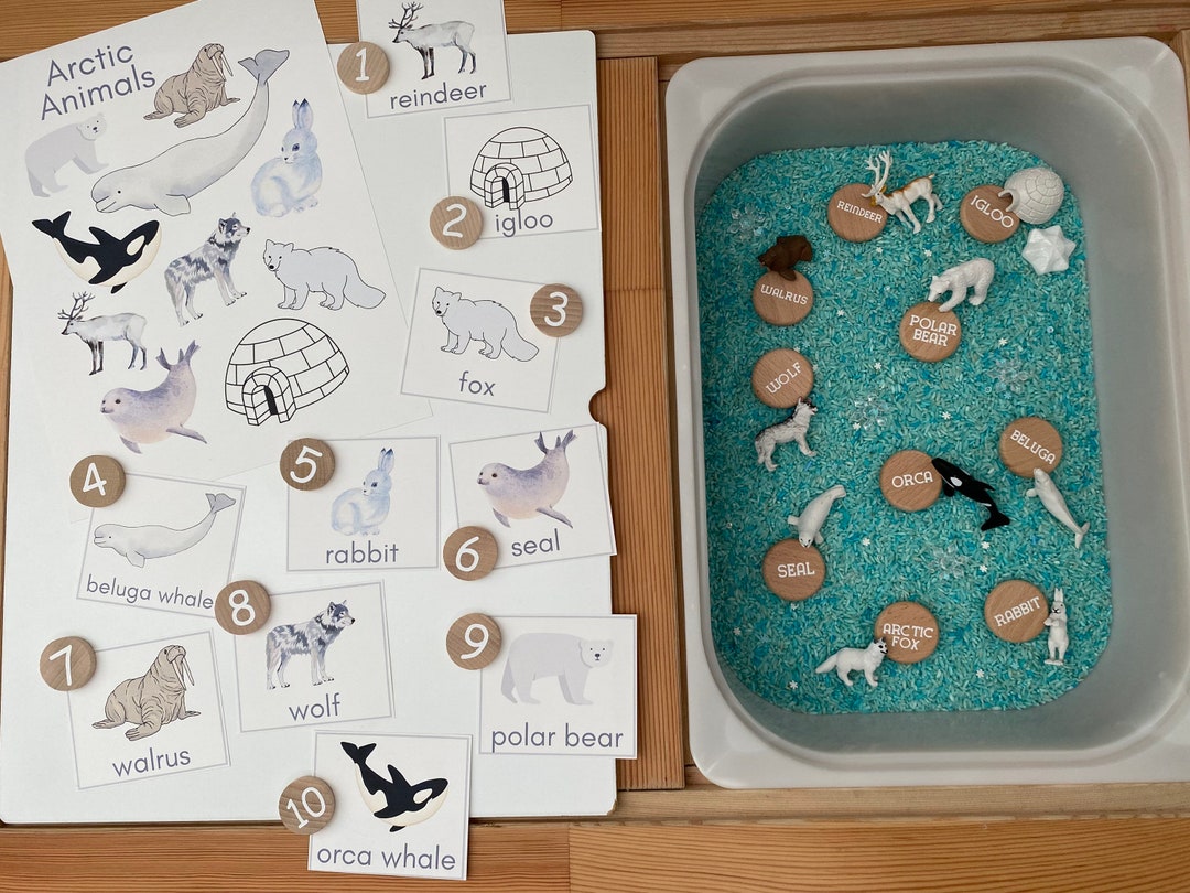 Arctic Animals Sensory Kit Learning Activity Math and - Etsy