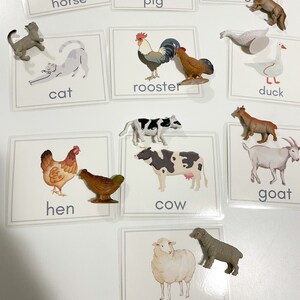 Farm Animals Sensory Kit Learning Activity Math and Literacy Farm ...