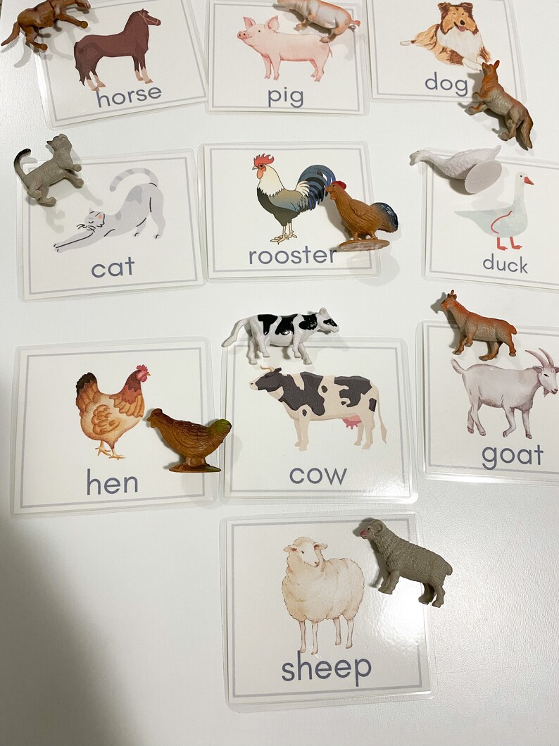 Farm Animals Sensory Kit Learning Activity Math and - Etsy