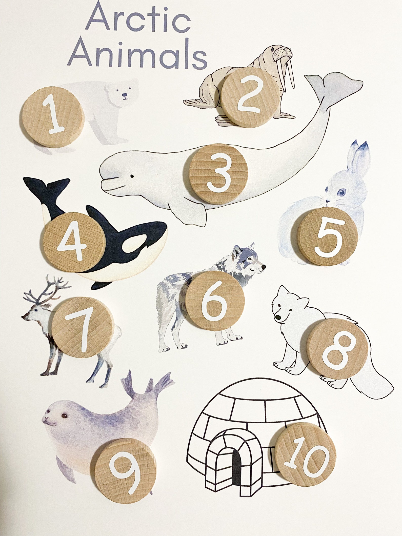 Arctic Animals Printable Set Winter Printable Arctic Animals Math ...