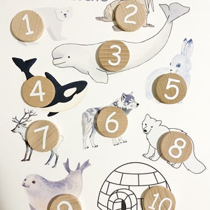 Arctic Animals Printable Set - Winter Printable - Arctic Animals Math ...