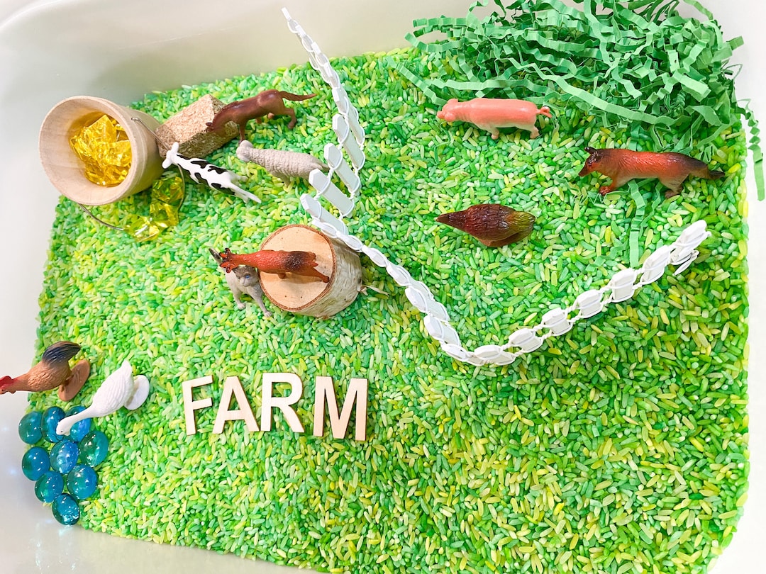 Farm Animals Sensory Kit Learning Activity Math and Literacy Farm ...