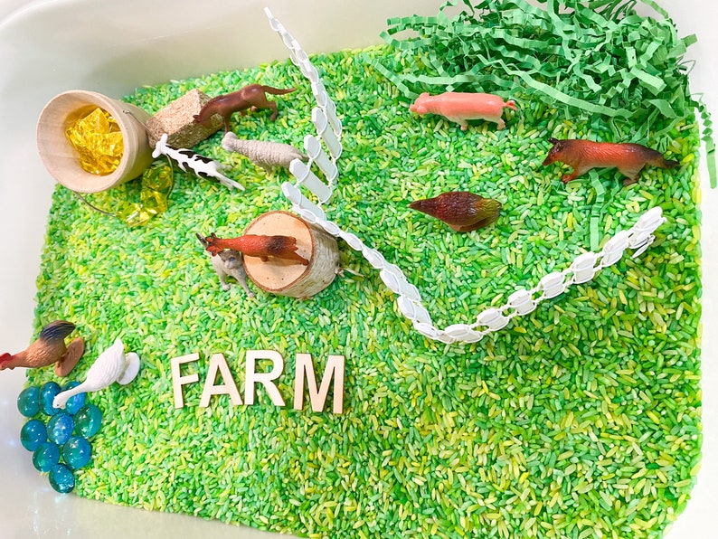 Farm Animals Sensory Kit Learning Activity Math and - Etsy
