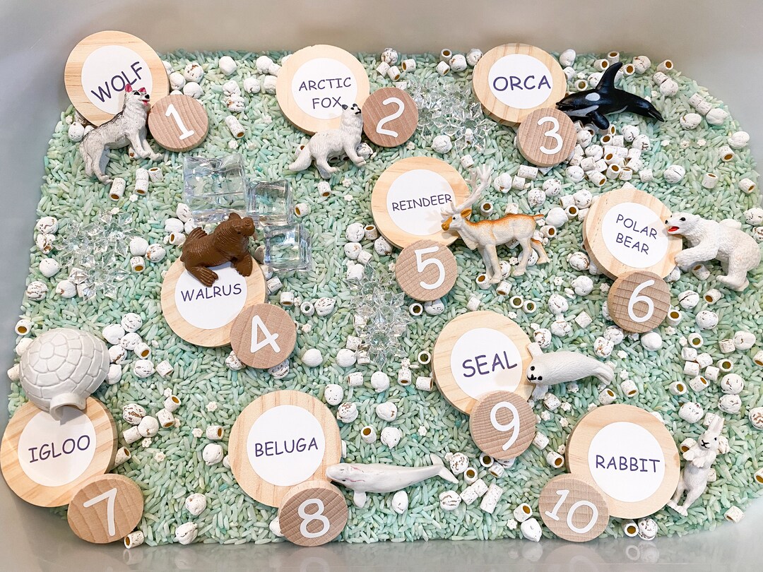 Arctic Animals Sensory Kit Learning Activity Math and Literacy Winter ...