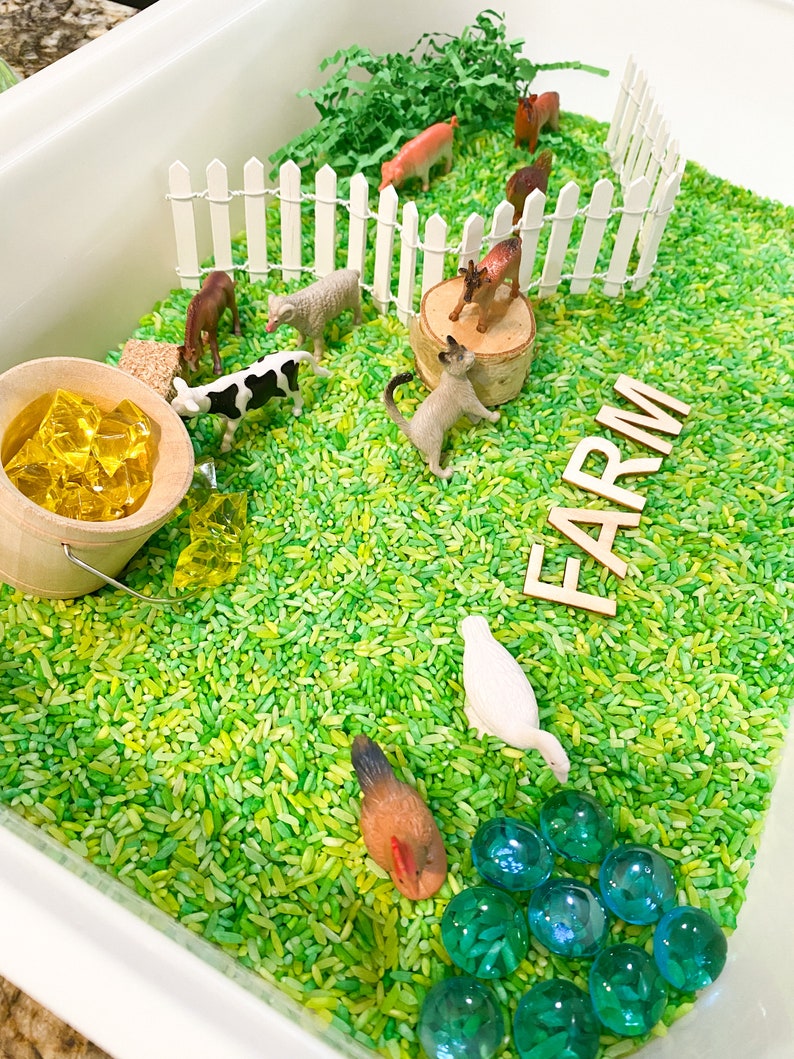 Farm Animals Sensory Kit Learning Activity Math and - Etsy