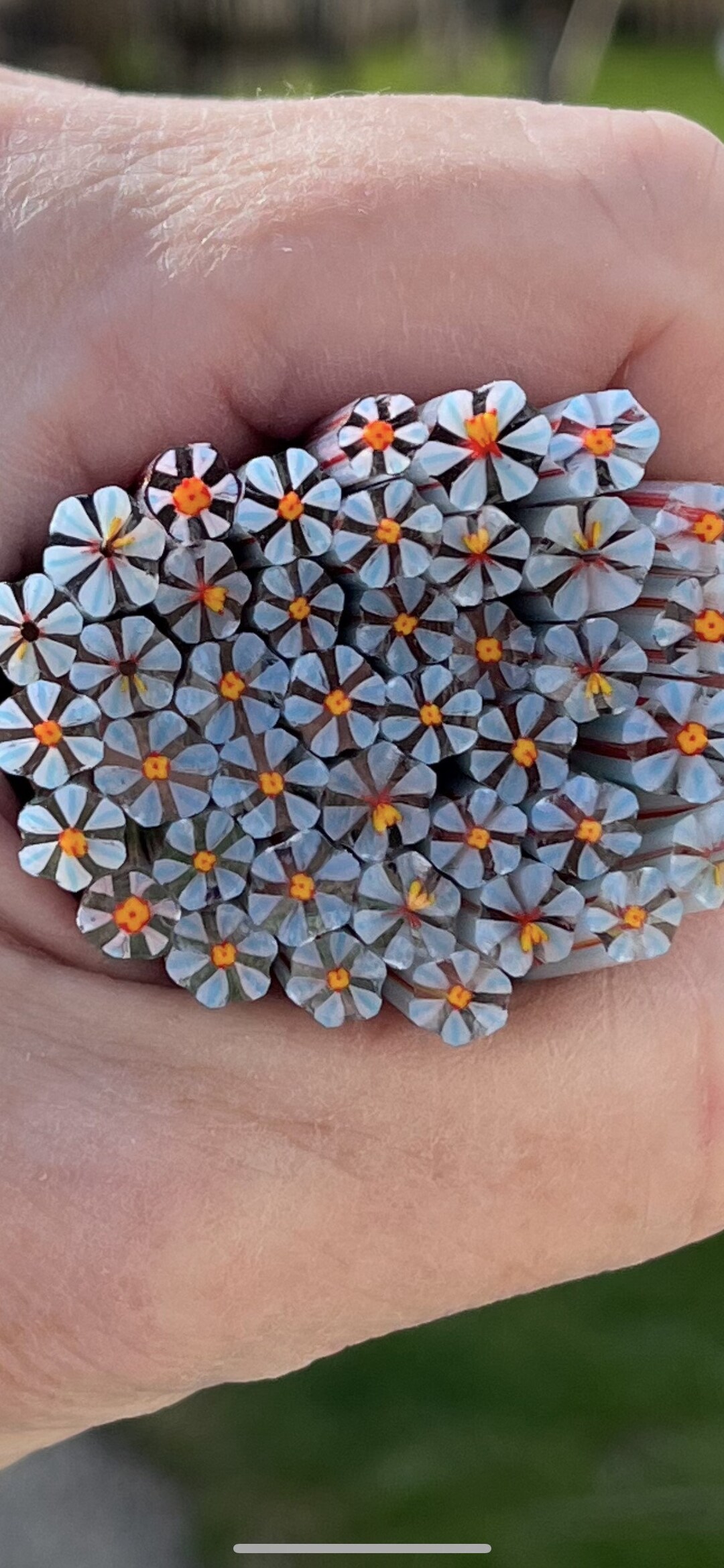 Coe 96 Murrini Flower Blue Daisy 1 Oz - Etsy