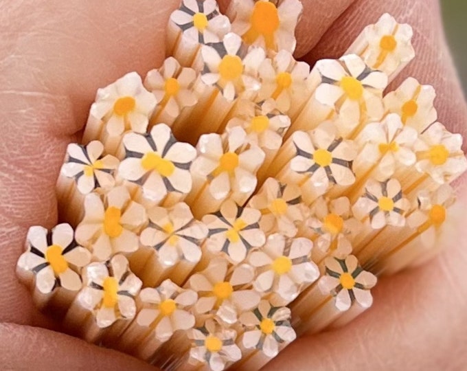 Coe 96 Murrini Flower Daisy 1 Oz - Etsy