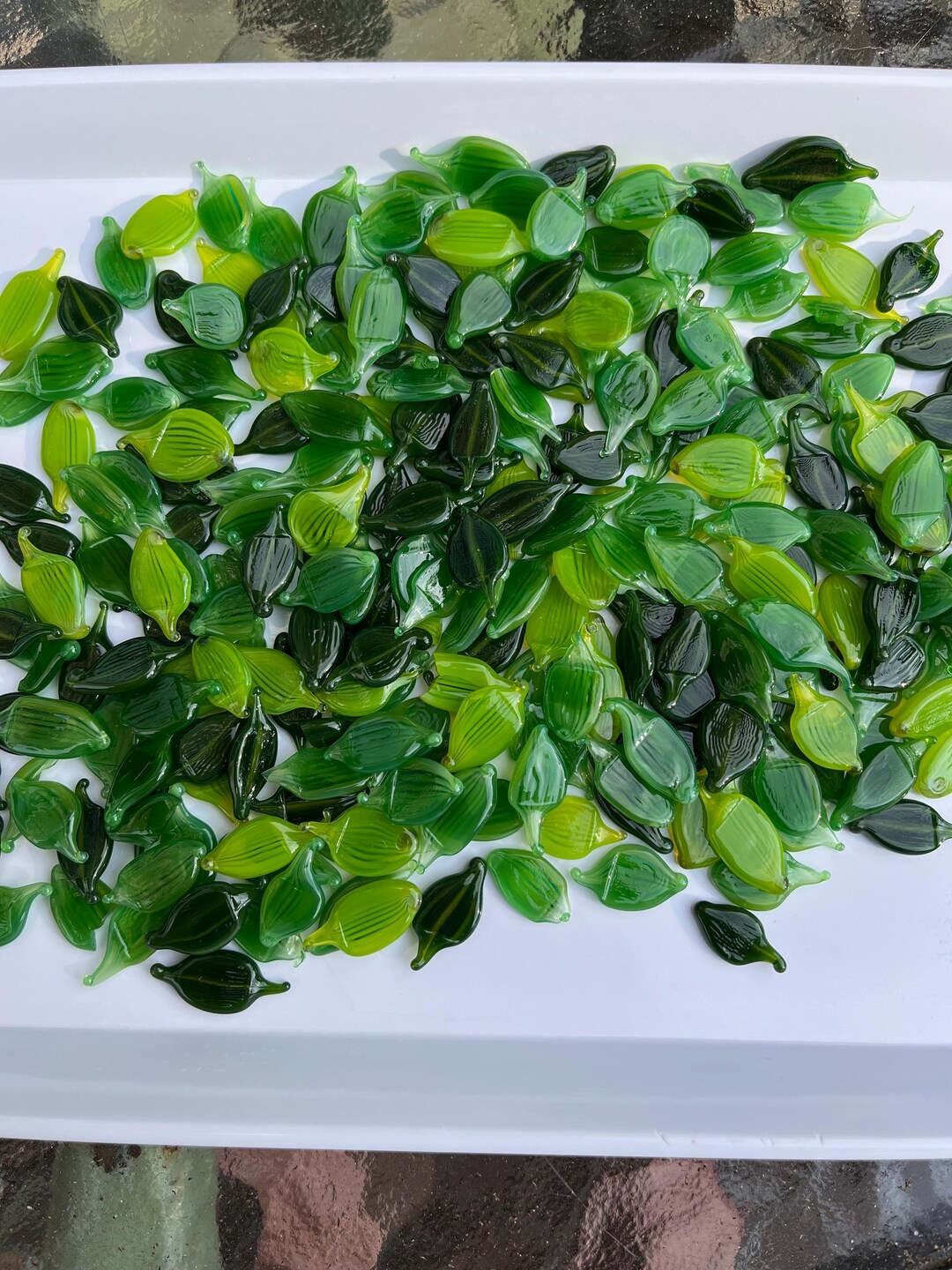 Coe 96 Murrini Petal Green Leafy Mix 1 Oz - Etsy