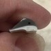 Coe 96 Murrini Dolphin 1 Oz - Etsy