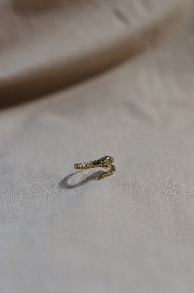 Snake Charmer Ring Serpent Ring Gold Silver Adjustable | Etsy
