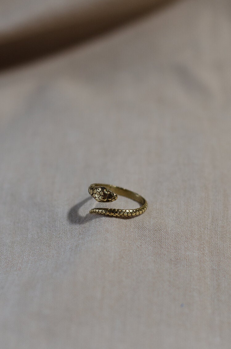 Snake Charmer Ring Serpent Ring Gold Silver Adjustable | Etsy