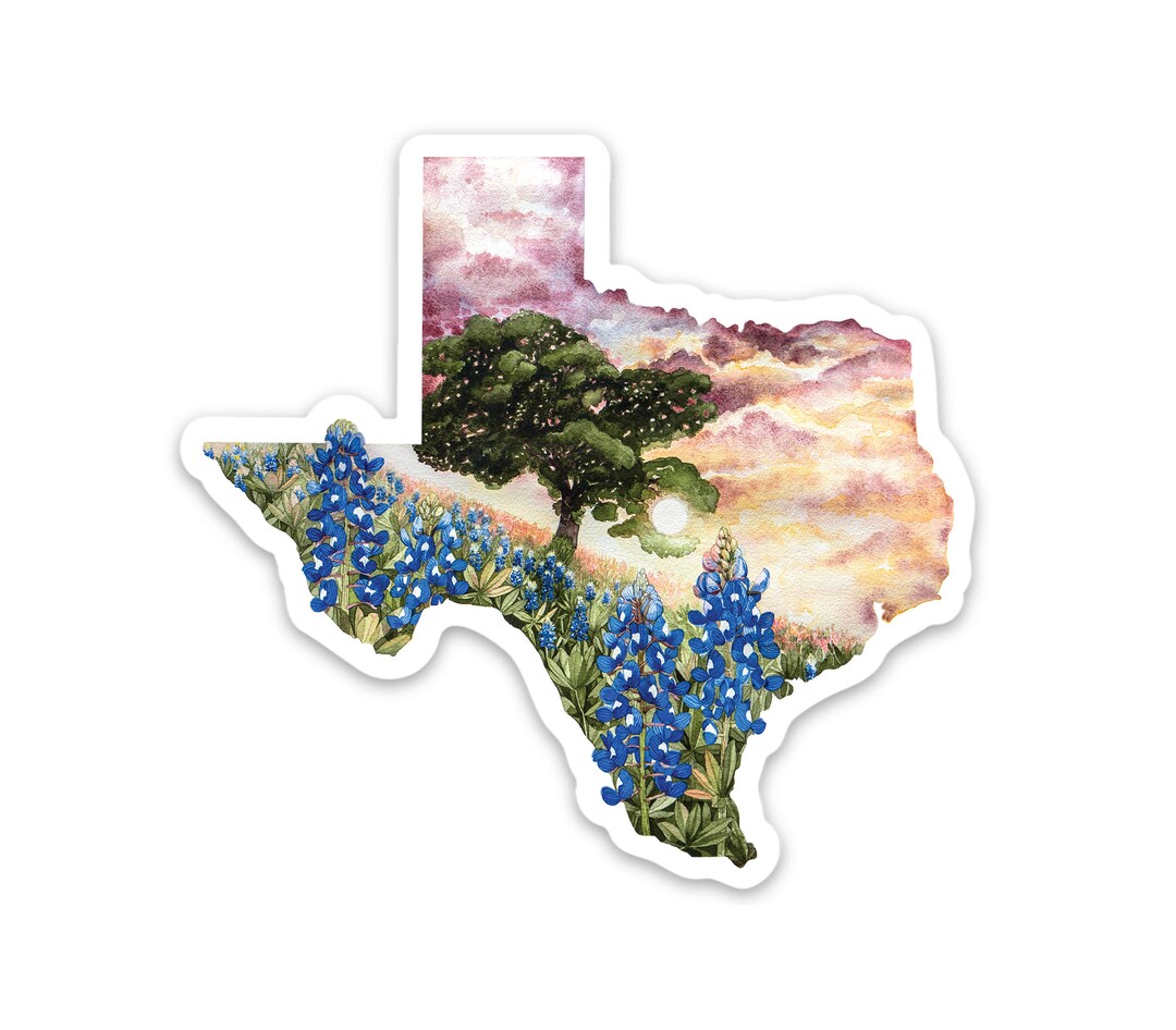 Texas State Vinyl Sticker Bluebonnets - Etsy