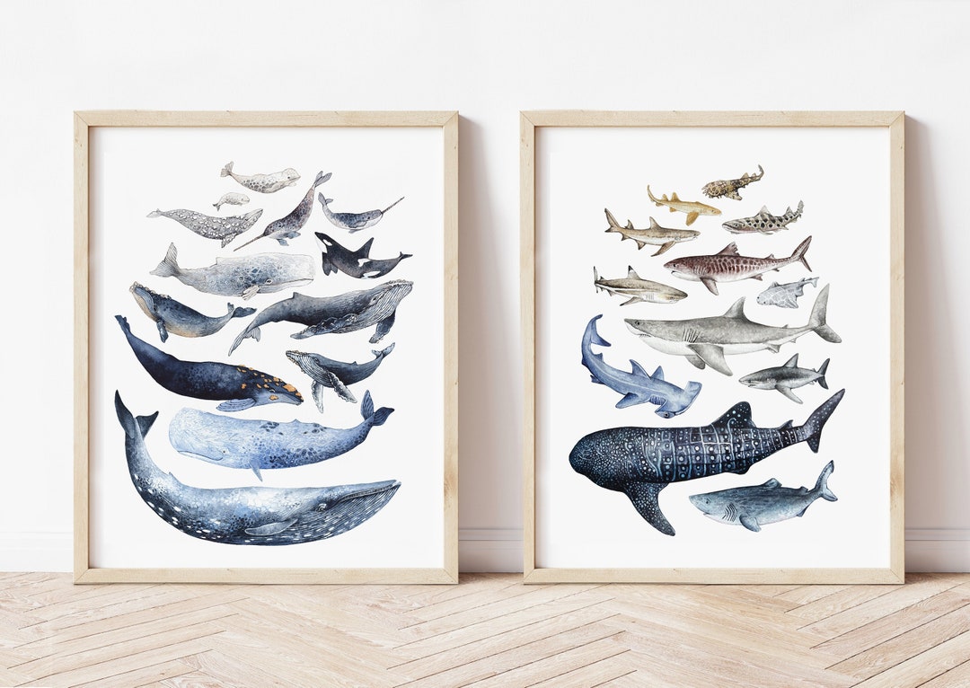 Two Print Bundle: Whale Stack & Shark Stack Giclee Watercolor 8"x10" 11 ...