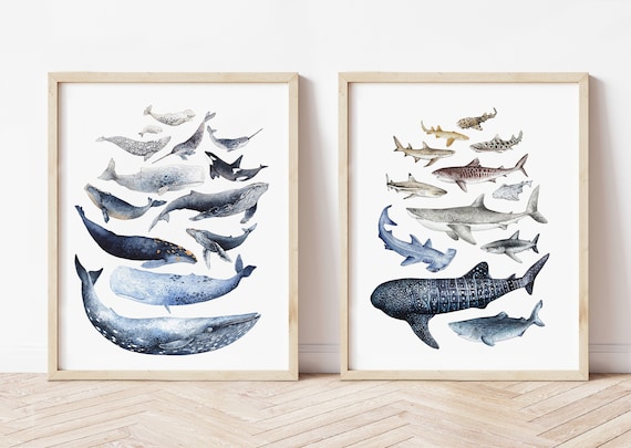 Two Print Bundle: Whale Stack & Shark Stack Giclee Watercolor - Etsy