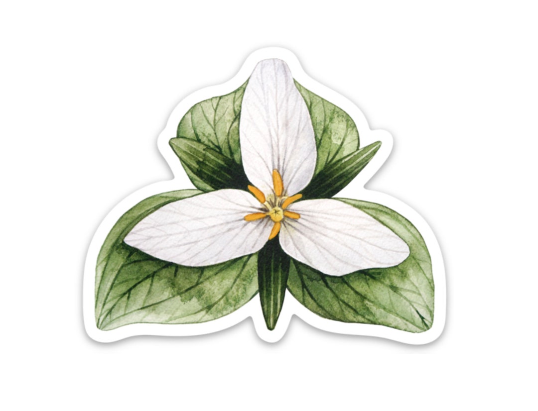 Trillium Flower Pacific Northwest Watercolor Art Sticker - Etsy