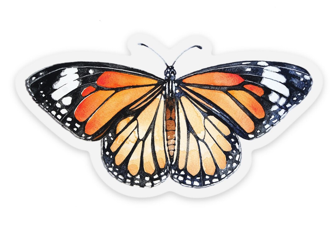 Monarch Vinyl Sticker Water Bottle Laptop Decal - Etsy