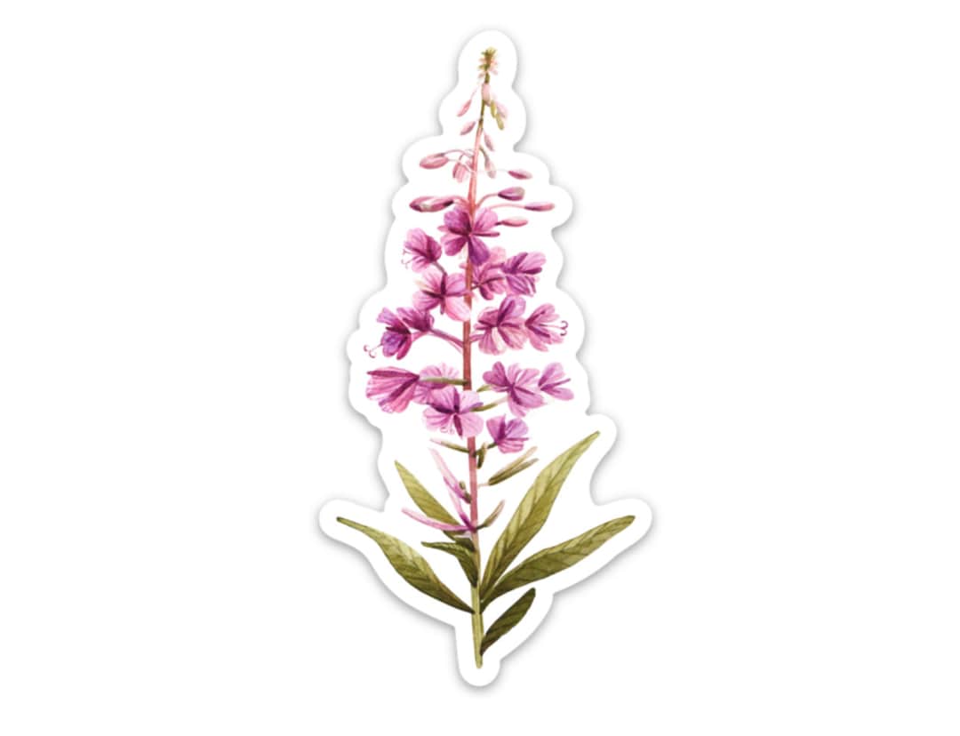 Alaska Fireweed Watercolor Vinyl Sticker - Etsy