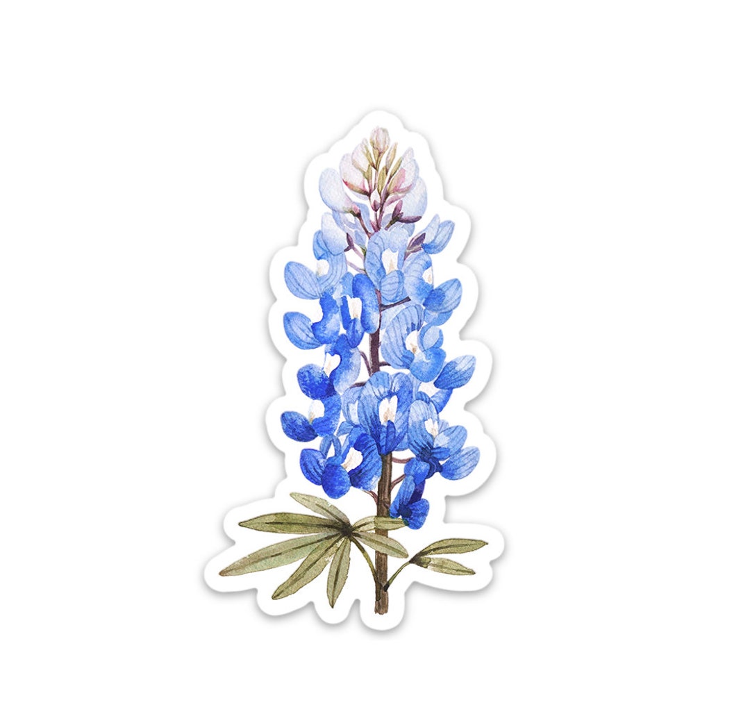 Texas Bluebonnet Vinyl Sticker Decal - Etsy