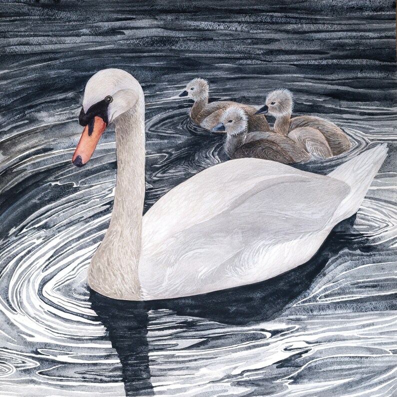 Swan and Cygnets Digital Download Printable Art Modern | Etsy