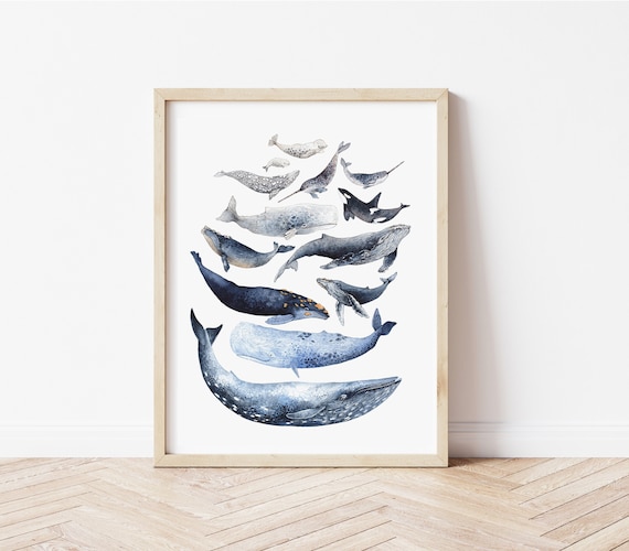 Whale Print Whale Stack Watercolor Giclée Print - Etsy