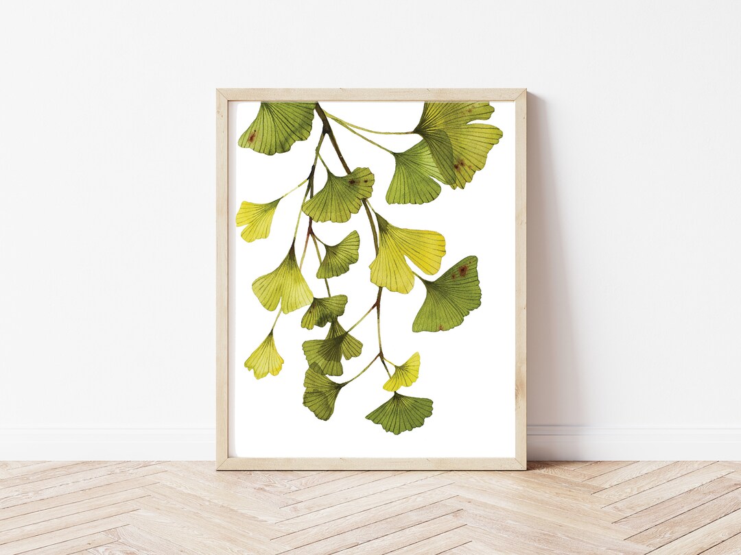 Ginkgo Leaves | Digital Download| Printable Art | Modern Contemporary ...