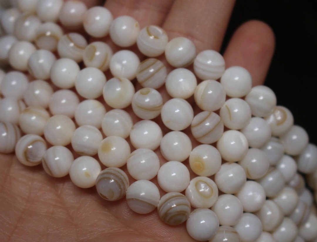 Natural White Shell Beads,mop Shell Beads,8mm Shell Beads,shell Beads ...