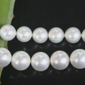 South Sea Shell Beads, Round Shell Beads, White Shell Beads, 15 Inches ...