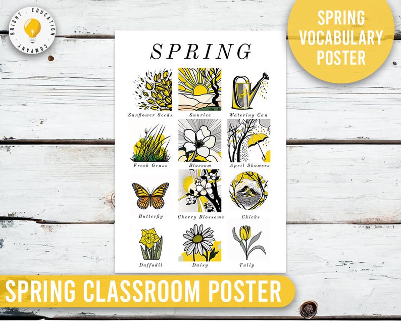 Pop Art Spring Flashcards • 12 Montessori Flash Cards Preschoolers ...