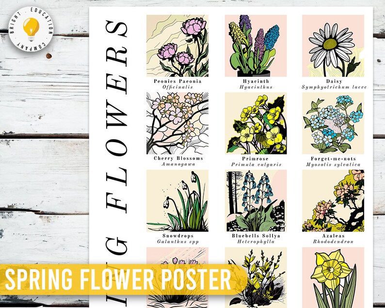 Spring Flower Poster • Classroom Poster With Vocabulary Words for ...
