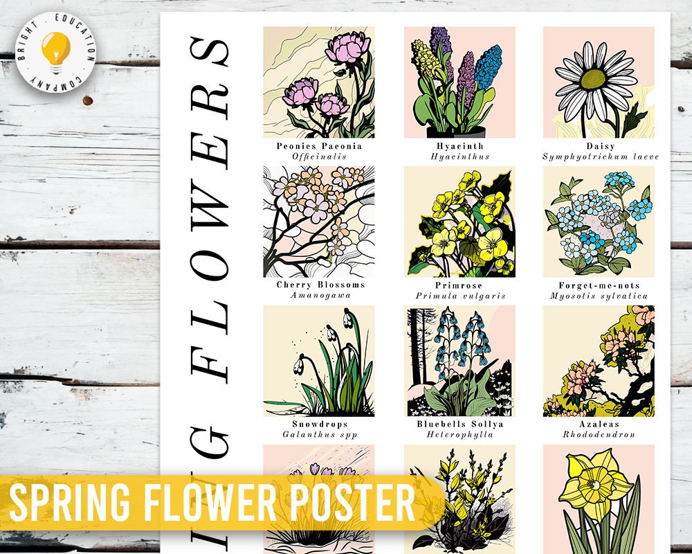 Spring Flower Poster • Classroom Poster With Vocabulary Words for ...